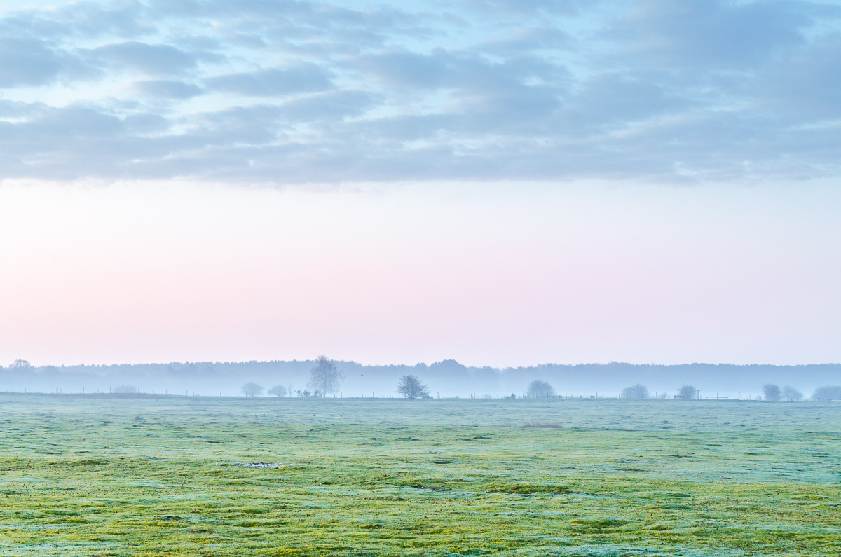 East Wretham Nature Reserve :: Norfolk in Pictures
