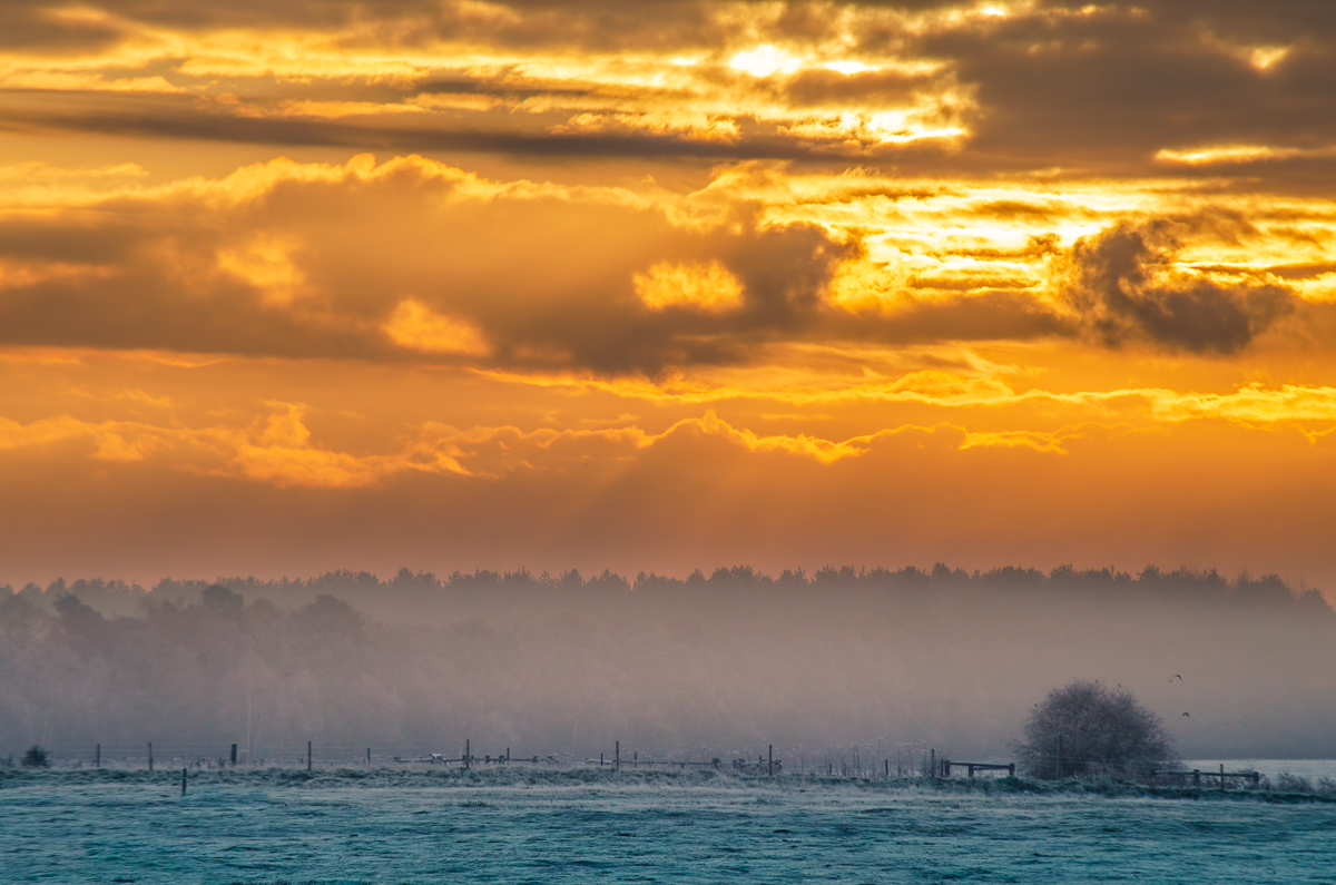 East Wretham Nature Reserve :: Norfolk in Pictures